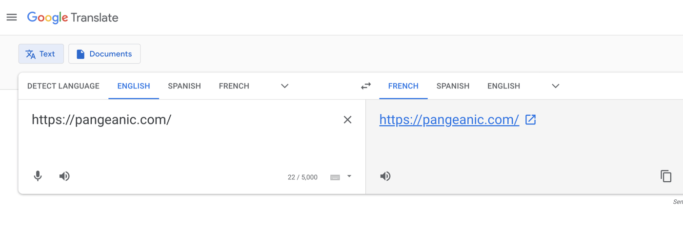 How to Translate a Website With Google Translate | Pangeanic