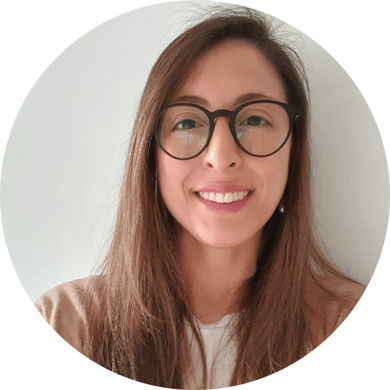 Microsoft Translator Widget | Pangeanic